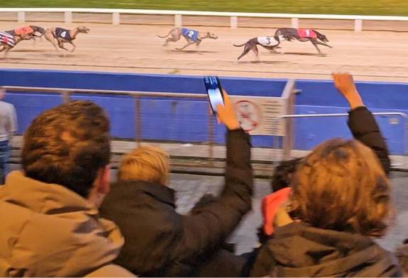Go Greyhound Racing In Ireland - Greyhound Racing Ireland