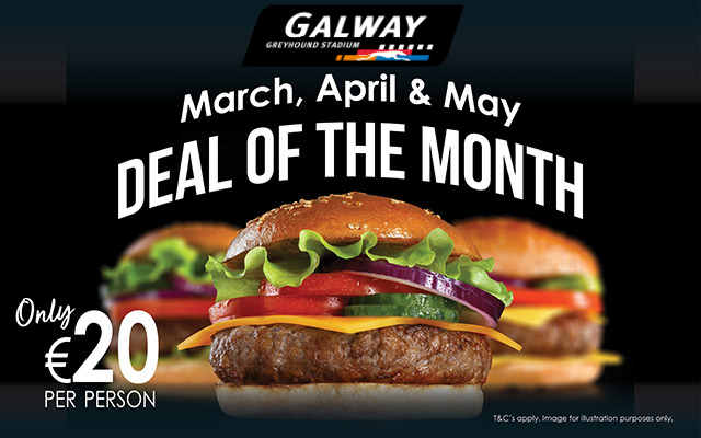 Greyhound Racing Admission Bookings in Galway Greyhound Stadium