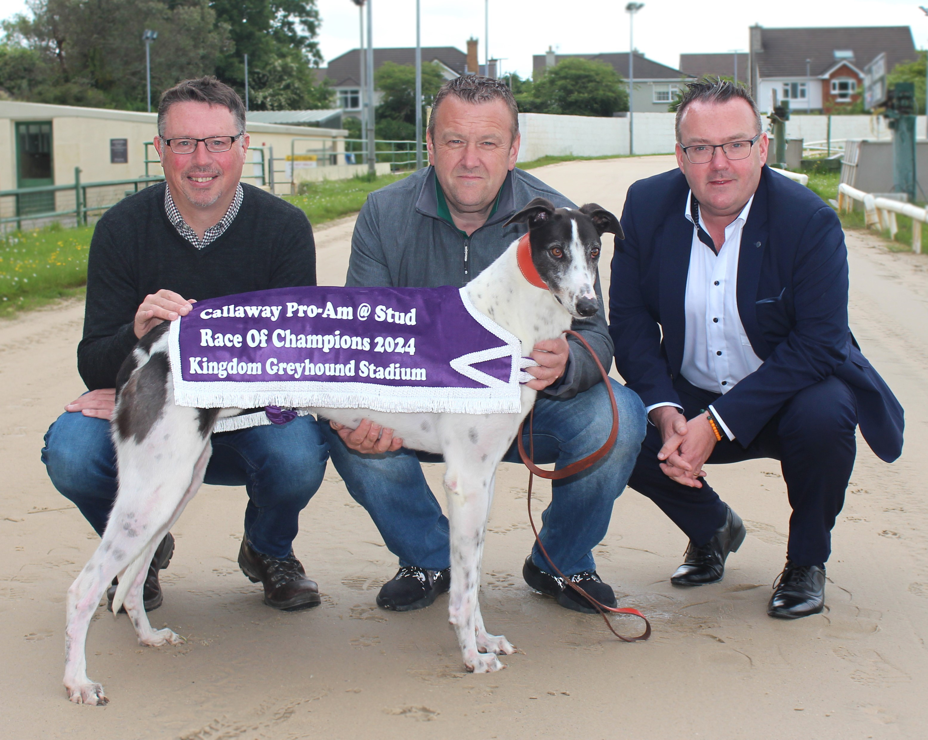 Race Of Champions at Kingdom Greyhound Stadium Tralee